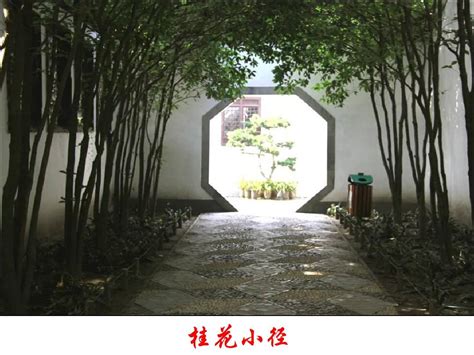 扬州个园word文档在线阅读与下载无忧文档