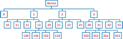 Illustration Of The Quadtree Data Structure Download Scientific Diagram