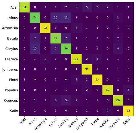 Multi Input Convolutional Neural Networks For Automatic Pollen Classification