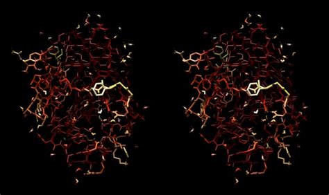 Ucsf Chimerax Structure Visualization And Analysis