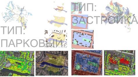 Морфотип - презентация онлайн