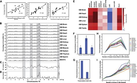 Production Of Extrachromosomal Microdnas Is Linked To Mismatch Repair Pathways And