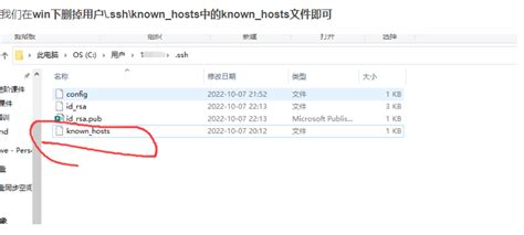 Vscode远程连接失败：could Not Establish Connection To 过程试图写入的管道不存在 佘同学 博客园