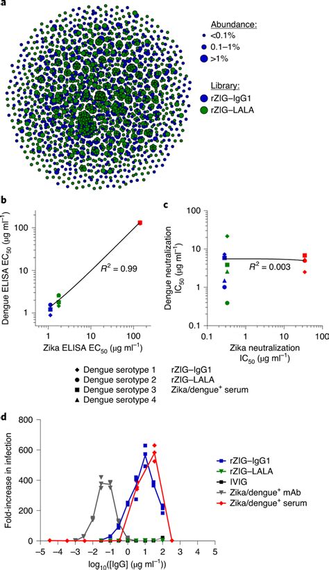 Generation And Characterization Of A Recombinant Hyperimmune Globulin