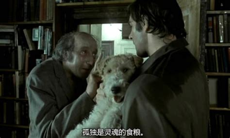 电影字幕 高清图片，堆糖，美图壁纸兴趣社区