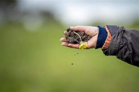 Premium Photo Women In Agriculture Working On A Ranch In America Soil Scientist Feeling A Soil