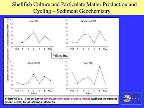 Ppt Shellfish Culture And Particulate Matter Production And Cycling
