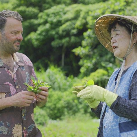 Emi No Miselongevity Cuisine Ogimi Son Qué Saber Antes De Ir