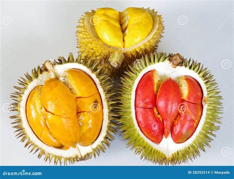 Red Durian