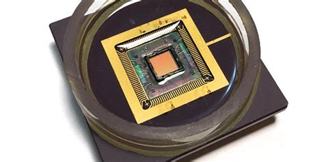 Nanoelectrode Array Sees Signals From Inside A Network Of Cells Ieee Spectrum