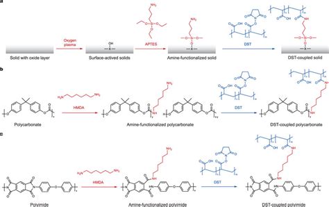 Surface Functionalization Of Engineering Solids A Primary Amine Download Scientific Diagram