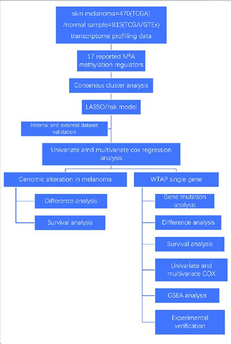 Workflow Chart Of Data Generation And Analysis Download Scientific Diagram
