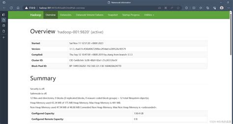 hadoop完全分布式运行模式的搭建 csdn博客
