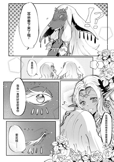 Sonia And Rauru The Legend Of Zelda And More Drawn By Nako Unclebanana Danbooru