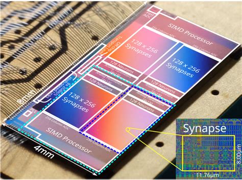 논문 리뷰 Integrating Programmable Plasticity In Experiment Descriptions