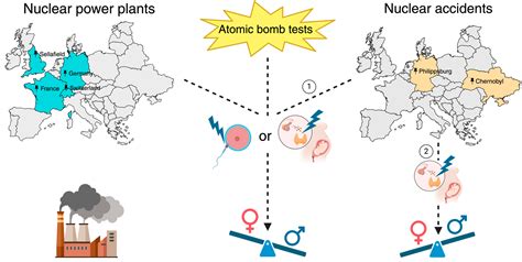 Unveiling The Effects Of Natural Disasters And Nuclear Energy On The