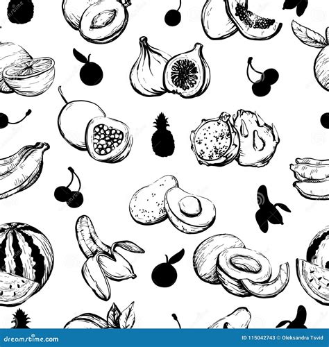 Hand Drawn Monochrome Exotic Summer Seamless Pattern With Fruit Stock