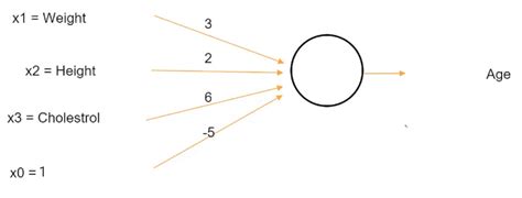 Components Of Neural Network Neural Network Layers And Neurons