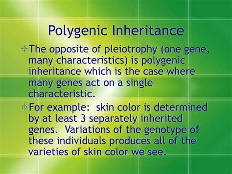 Chapter 14 Mendelian Genetics Ppt Download