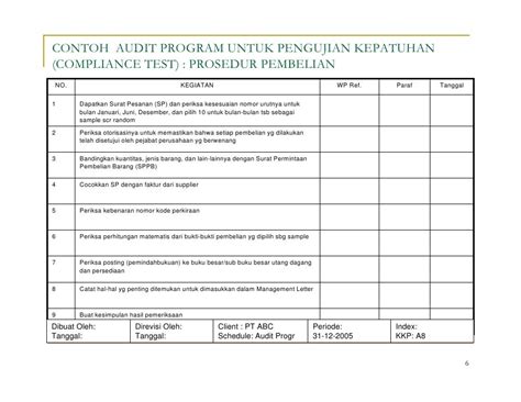Audit Program 2