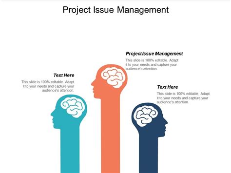 Project Issue Management Ppt Powerpoint Presentation Infographic Template Deck Cpb Templates