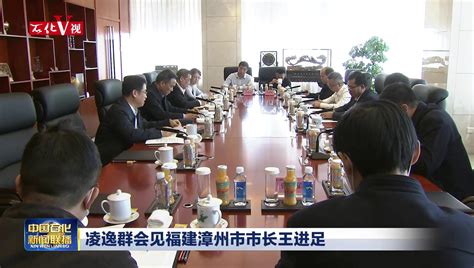 凌逸群会见北京市房山区领导 中国石化网络视频