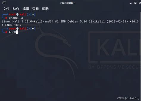 Linux Kali系统shell 命令行上下左右键变abcd的解决方法linux方向键变成abcd Csdn博客