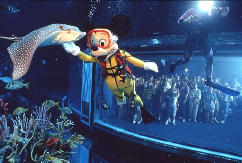 Seabase Aquarium Aquário Dentro Do Epcot Na Disney Orlando é O 2º