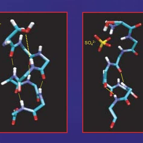 Docking Experiments With The Purine Nucleoside Phosphorylase Pnp Download Scientific Diagram