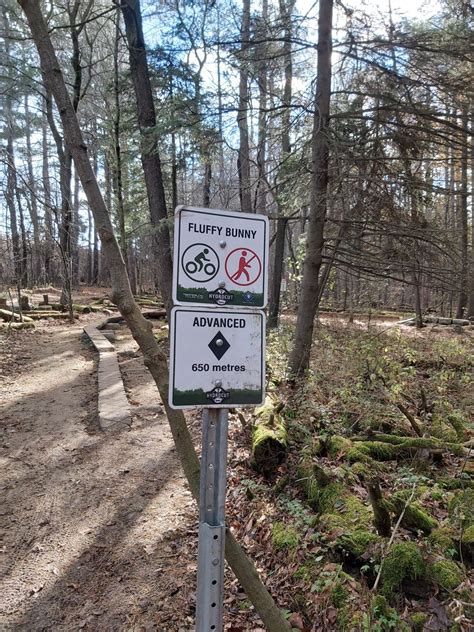 Jason W Eckert On Linkedin Security Cybersecurity Organizationalculture Email Funny