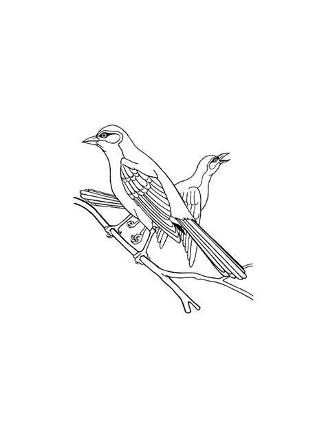 Mockingbird Coloring Pages Free Printable