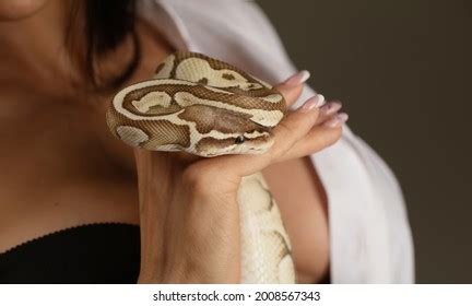 Naked Woman Python Images Stock Photos Vectors Shutterstock
