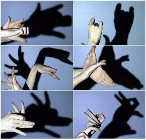 아이들이 좋아하는 킨더초콜릿 재미난 손그림자놀이~ 네이버 블로그