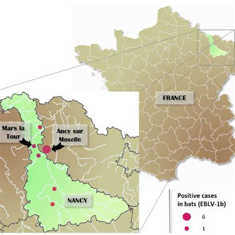 Map Of France Showing The Location Of The Serotine Bat Colony In Download Scientific Diagram