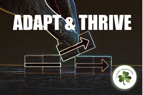 Clive Hays On Linkedin Agilestrategies Businesstransformation Adaptandthrive