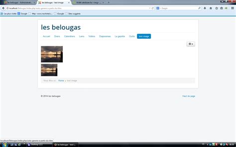 Css Image Qui Sadapte à La Taille De Lécran Partager Taille Bonne