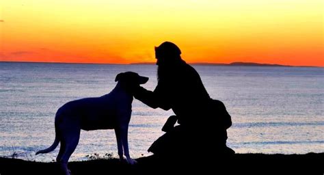 Breaking Down Barriers Breaking Down Barriers With Brynn