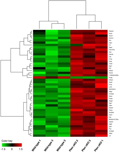 Microarray Analysis Identifies Novel Pten Targets Heat Maps For Download Scientific Diagram