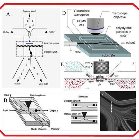 Typical Microfluidic Cell Sorter With Detailed Criterions Download Scientific Diagram