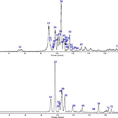 Uhplc Orbitrap Hrms Total Ion Chromatogram Tic Of The Methanolic