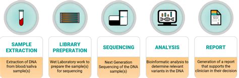 Mpeg G Paves The Way For A Reliable Data Trail In Genetics Genomsys Mpeg G Paves The Way For A Reliable Data Trail In Genetics Genomsys