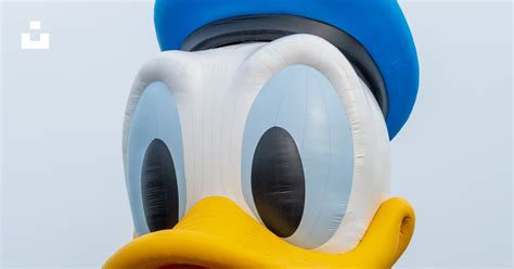 빨간 리본이 달린 파란 양복을 입은 큰 오리 사진 Unsplash의 무료 만화 캐릭터 이미지