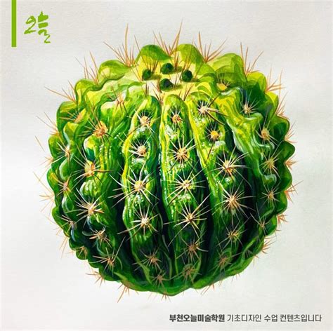 입시미술에 있는 이병민님의 핀 선인장 그림 디자인 현실적인 그림