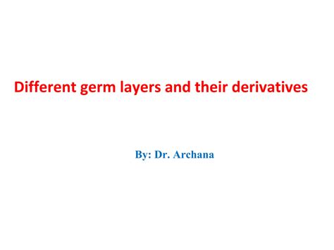 Solution Different Germ Layers And Their Derivatives Studypool
