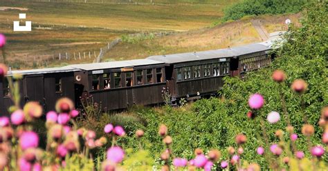 기차가 선로를 따라 이동합니다 사진 Unsplash의 무료 파타고니아 아르헨티나 이미지