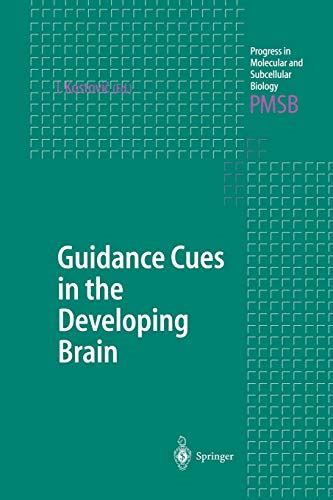 Guidance Cues In The Developing Brain Progress In Molecular And Subcellular Biology