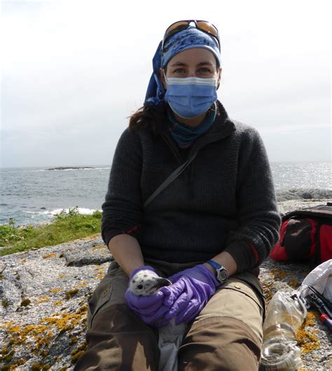 Report From The Seabird Monitoring In Norway In 2022 Seapop