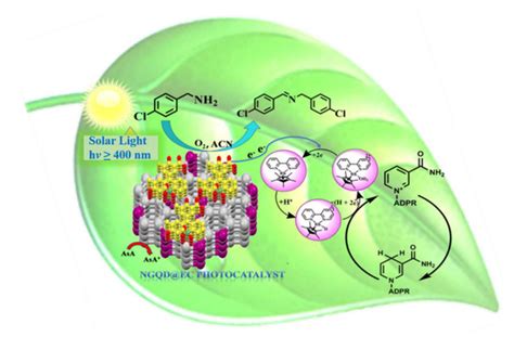 Highly Selective Nitrogen Doped Graphene Quantum Dots Eriochrome Cyanine Composite Photocatalyst