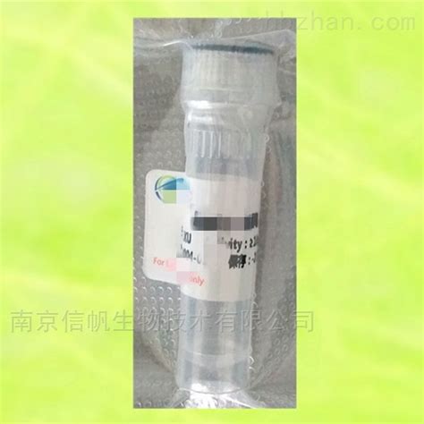 兔抗山羊IgG免疫血清 南京信帆生物技术有限公司