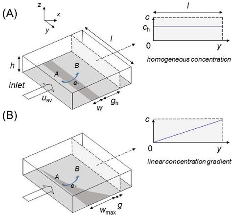Figure 1 From Electrochemical Generation Of Steady State Linear
